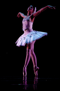 USF News | University of South Florida