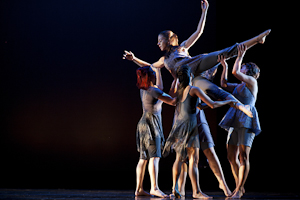 USF News | University of South Florida