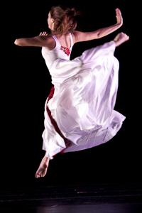 USF News | University of South Florida