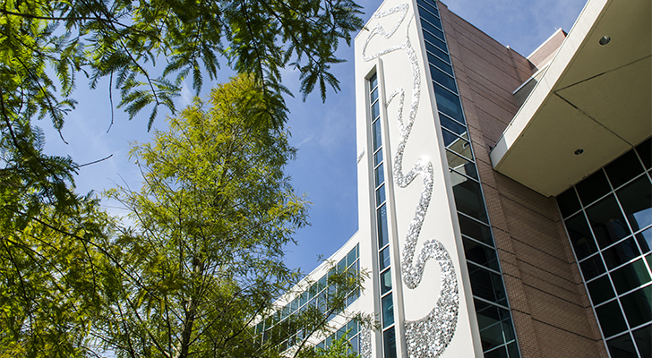 USF News | University of South Florida